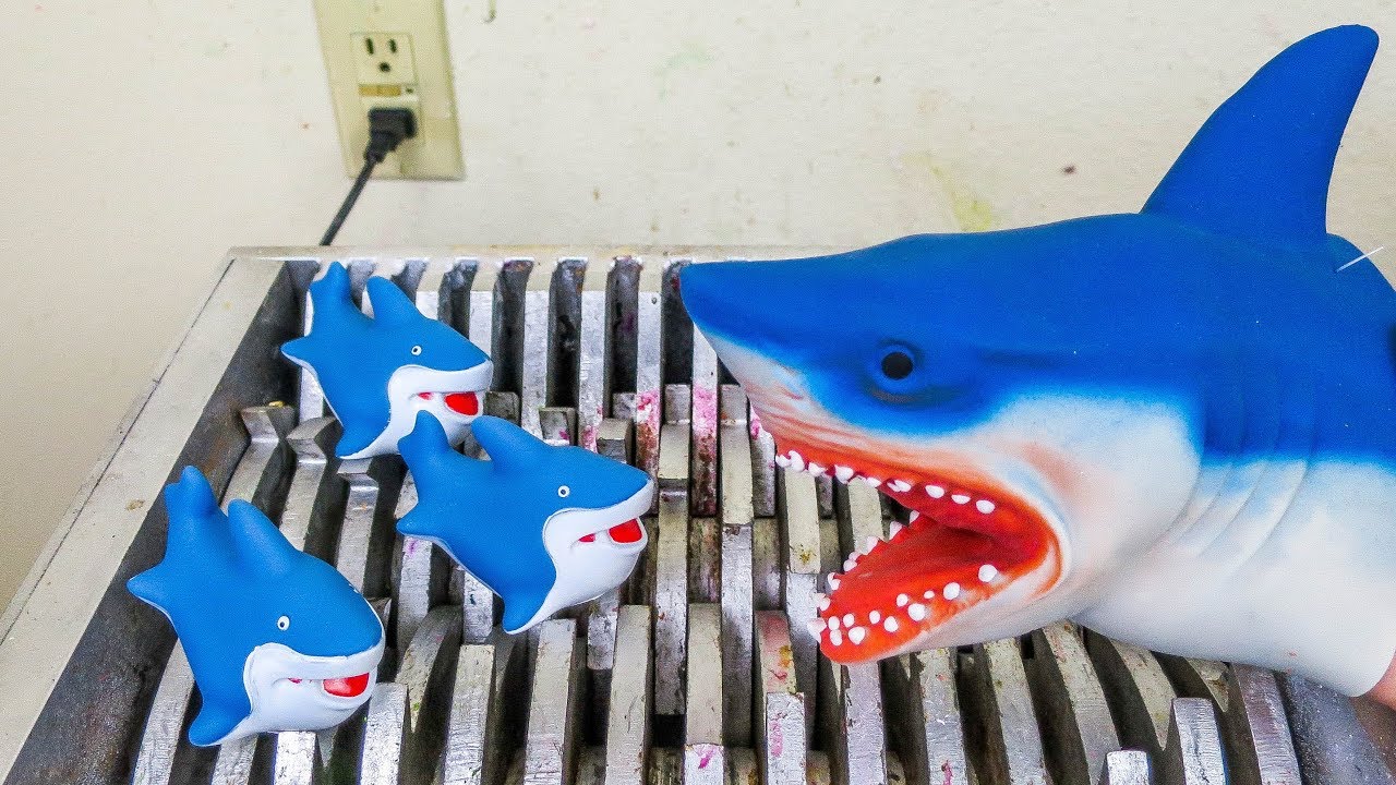 Baby Sharks Shredded! Colorful Squishy Animals and Bath Toys Destroyed ...