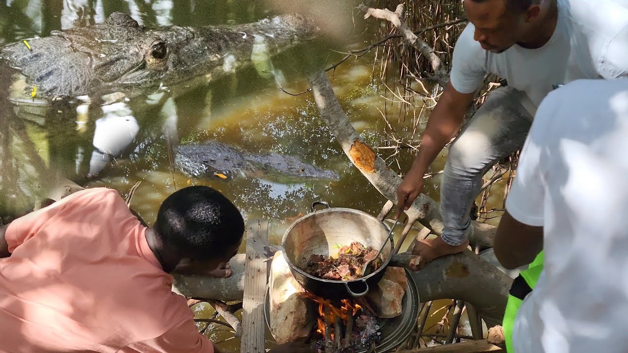 crocodile stew pork swamp beast - rice in sweet peas - YouTube