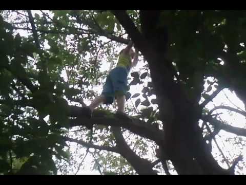 Dhfjr - YouTube
