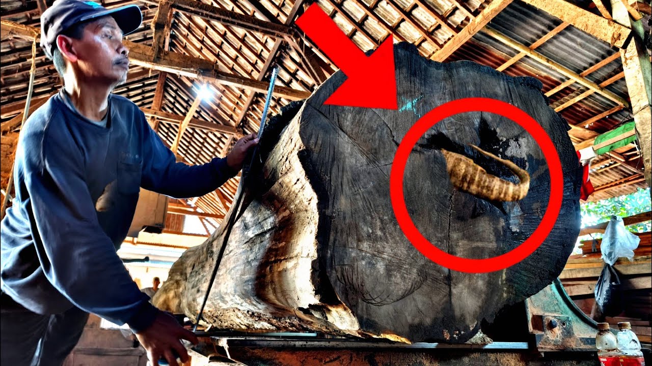 I’ve NEVER Seen Wood Like This Before! 😱 - YouTube