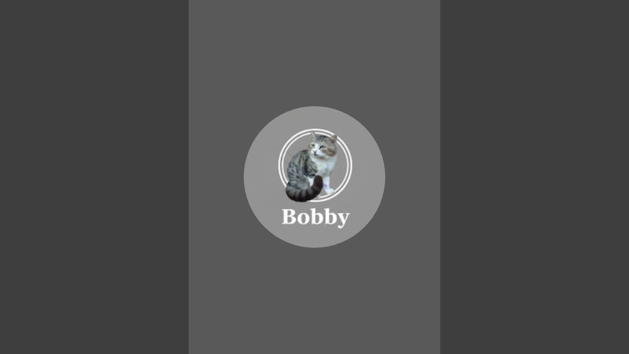 Bobby Cat is live! - YouTube