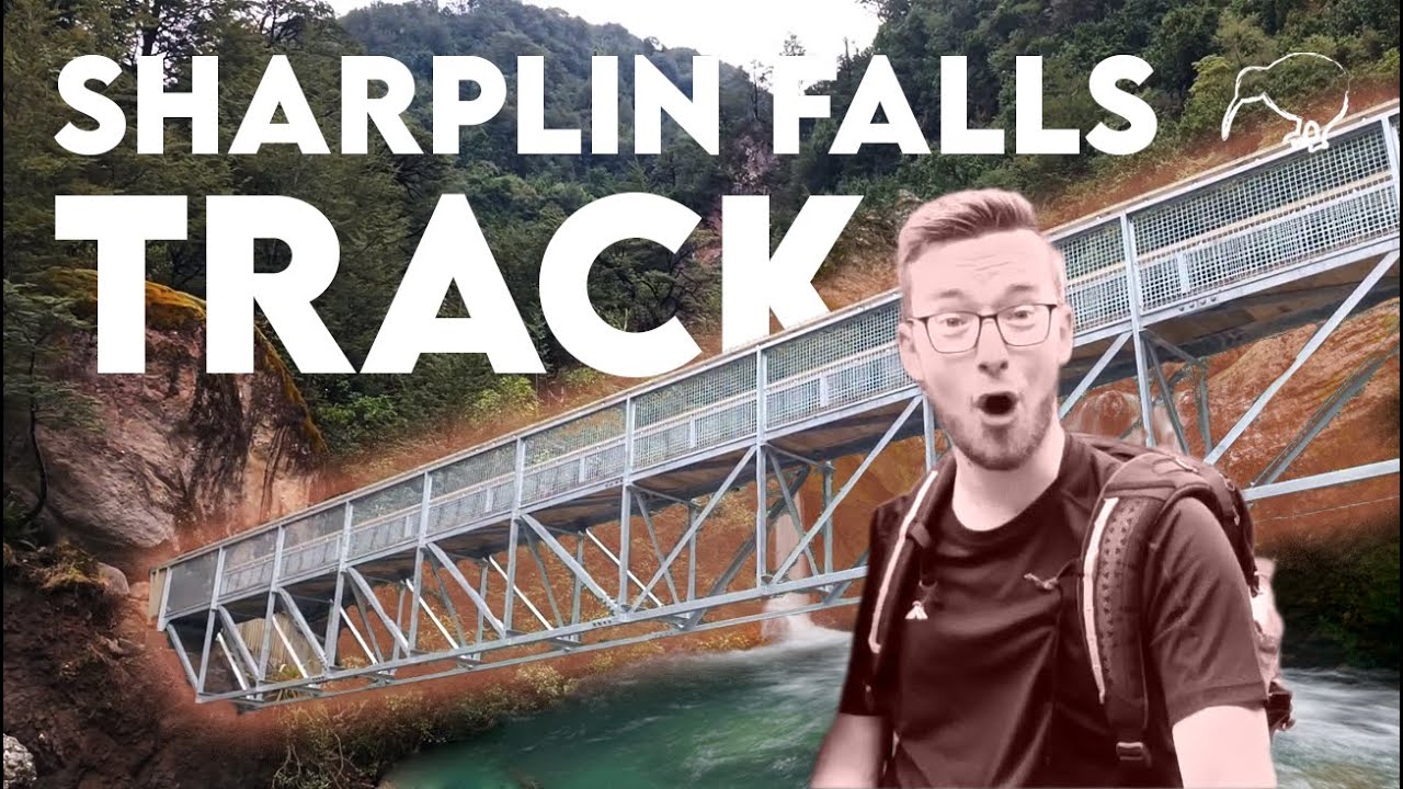 Hiking the New Sharplin Falls Track - YouTube