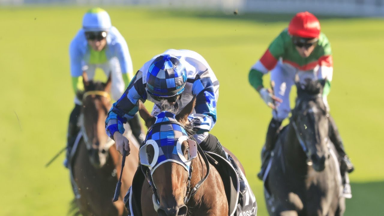 South Australian Derby 2021 (G1) | Explosive Jack | Morphettville ...