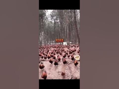 D3TH AND 1093 - YouTube