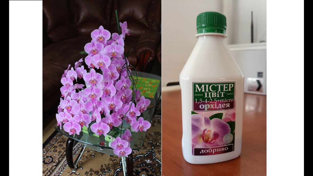 Удобрение для орхидеи. Fertilizer for orchids - YouTube