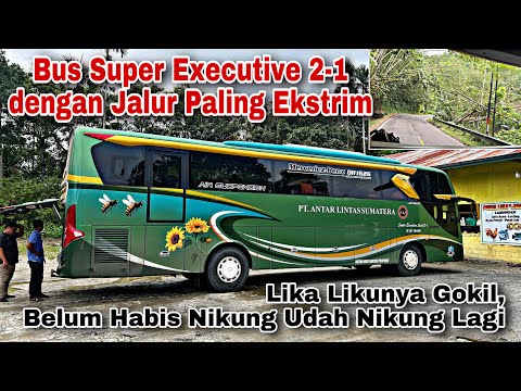 Bus Super Executive 2-1 Yang Jalurnya Paling Ekstrim ️ Lika Liku Gokil ...