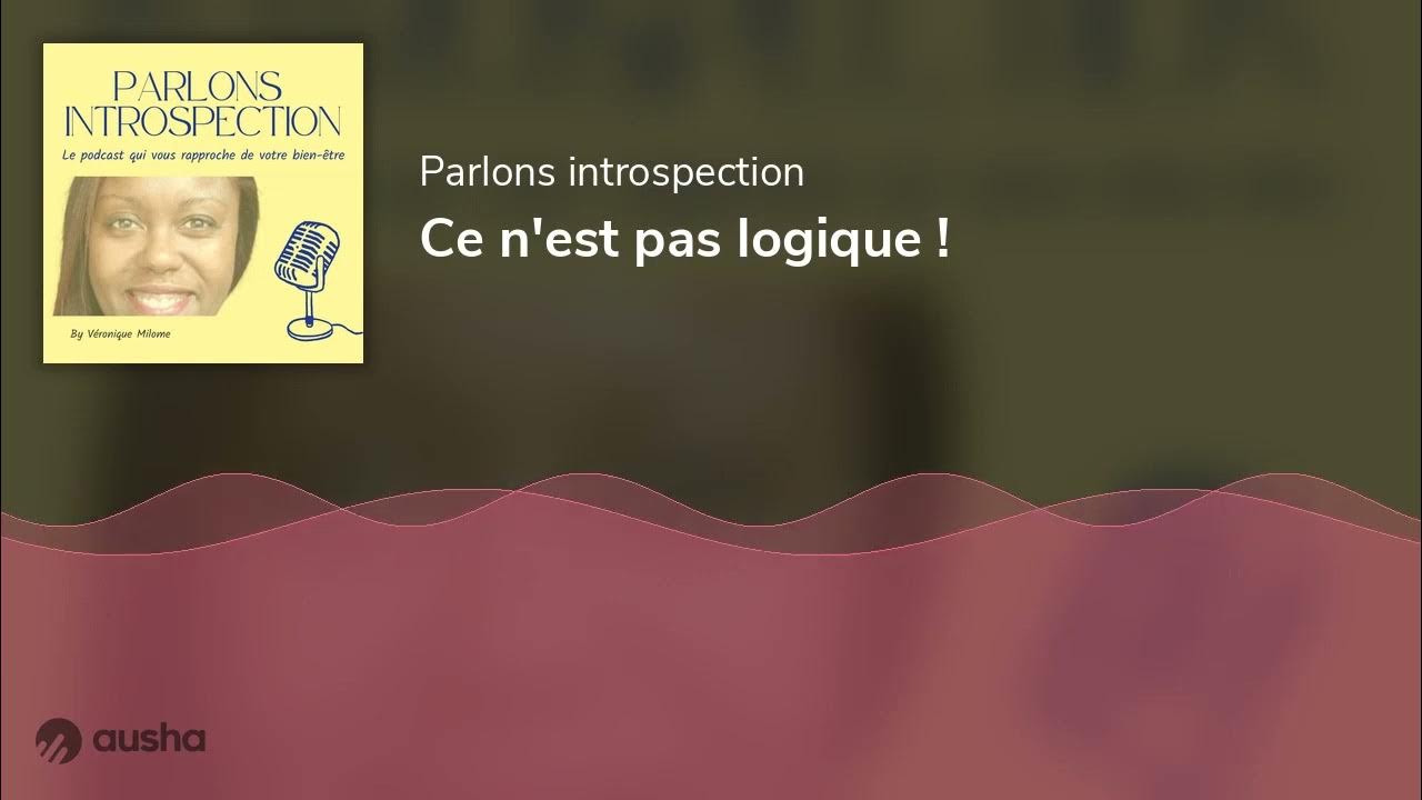Ce n'est pas logique ! Parlons Introspection ! Episode 4 - YouTube