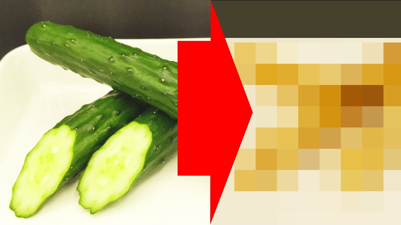 The Rotting Cucumbers Timelapse!!! - YouTube