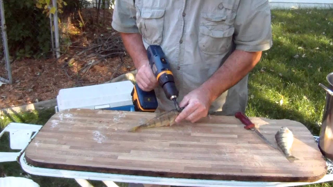 how to scale a perch - YouTube