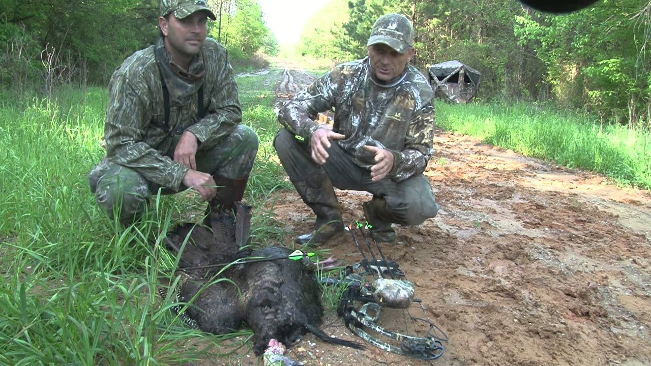 How to Hunt Turkeys HowtoHunt.com - YouTube