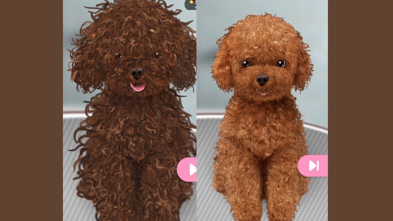 ASMR | Clean | Dirty Dog Shampoo, Degreases & Removes Stains - YouTube