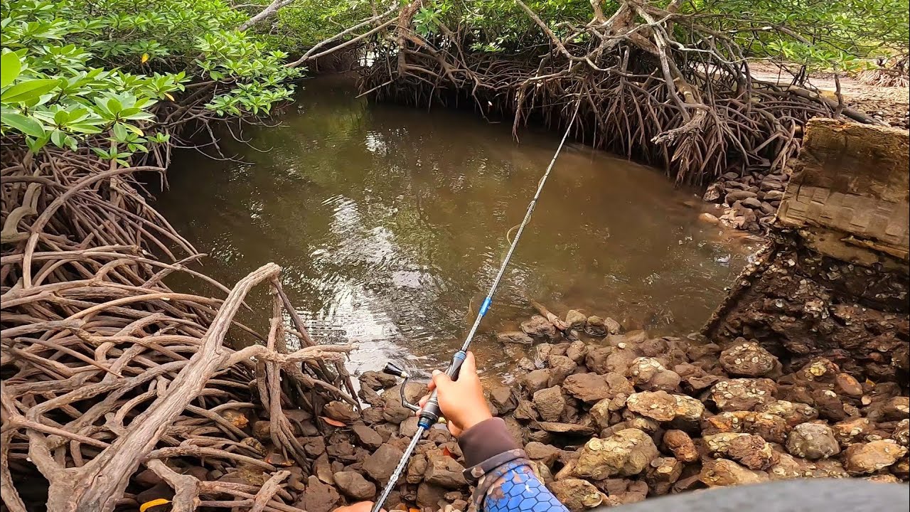 Sa ganito kataas ng tubig sila kumakagat | Catch & Cook | Palawan ...