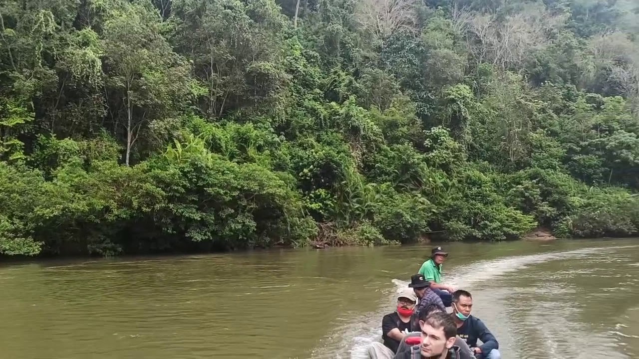 Sungai Sebayang Rimbang Baling - YouTube