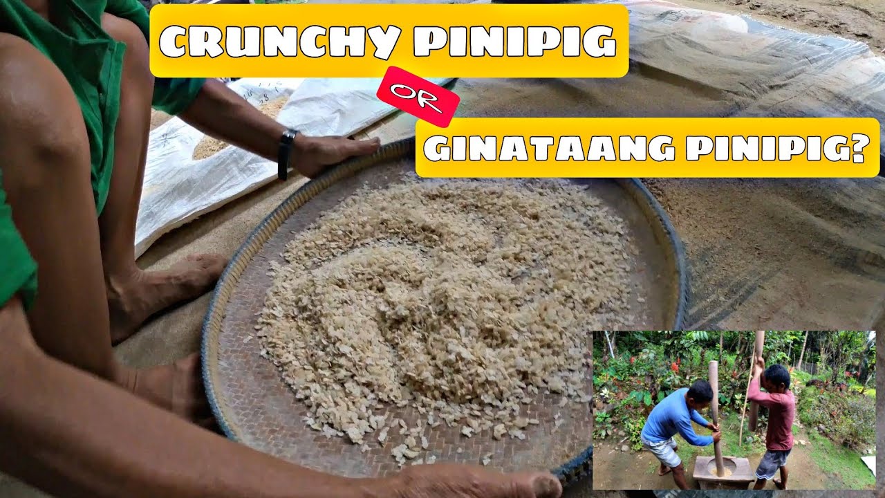 TRADISYONAL NA PAGGAWA NG PINIPIG | BUHAY PROBINSYA | COUNTRYSIDE LIFE ...