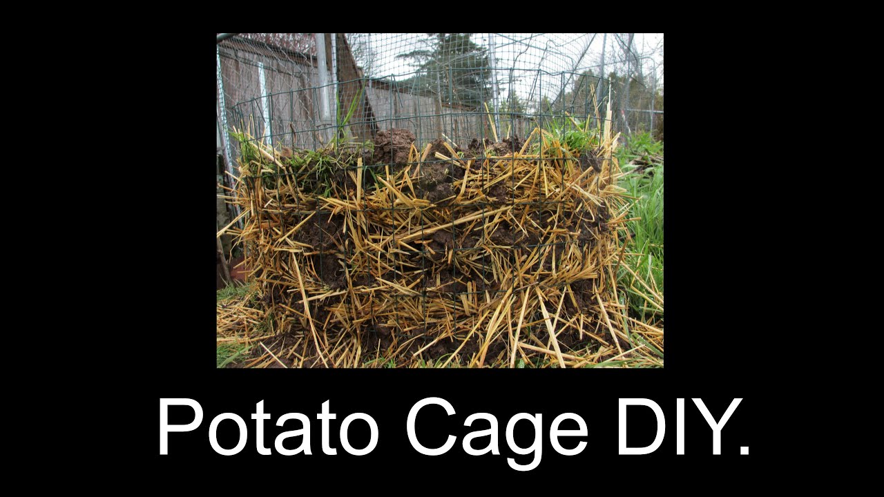 Potato Cage DIY. Four layers, four different varieties. - YouTube