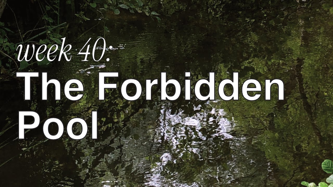iv. VI. The Forbidden Pool - YouTube