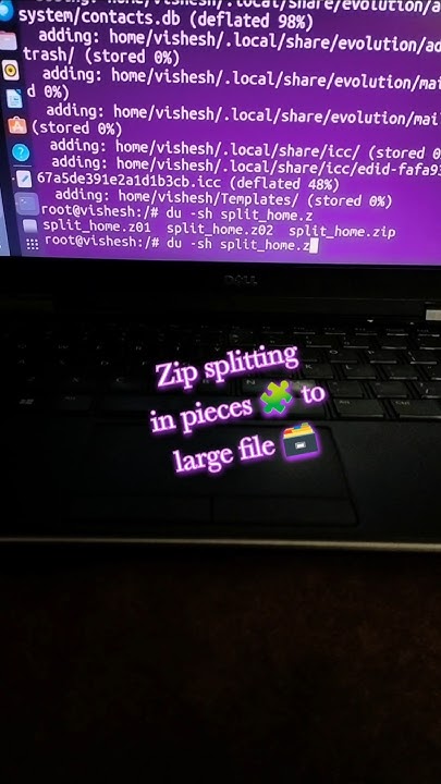 Zip M Linux Ubuntu Shortsviral Shortvideo Shorts Viral Viralvideo Song Songs