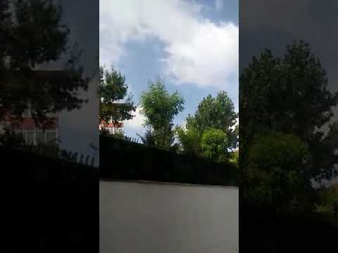 Meftun KOCAKAYA Yollara, Yıllara Sayın...