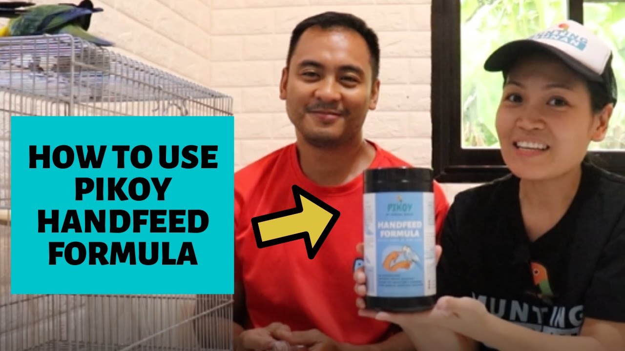 PAANO GAMITIN ANG PIKOY HANDFEED FORMULA - HAND FEED FORMULA FOR BIRDS ...