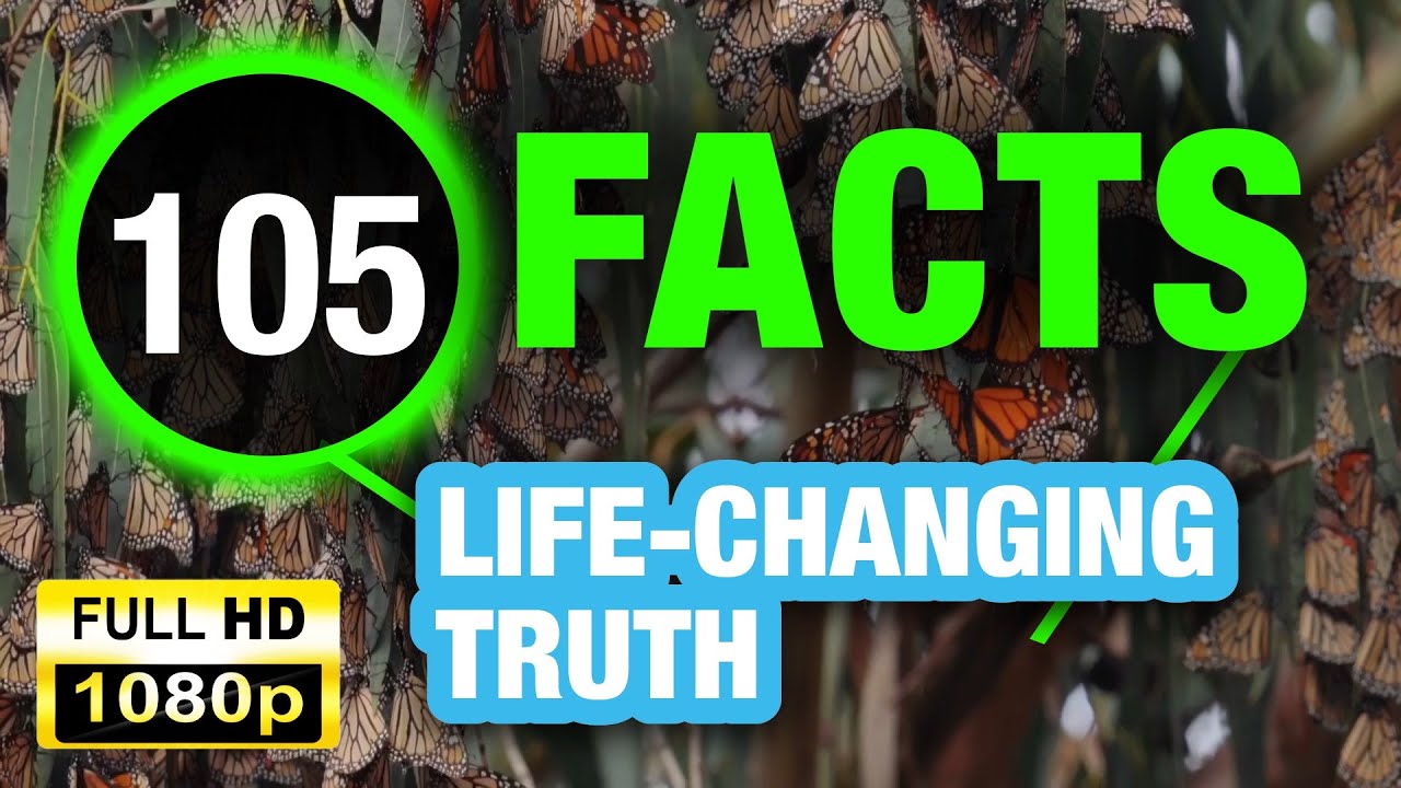 105 Fun Facts That Are Impossible to Ignore! - YouTube