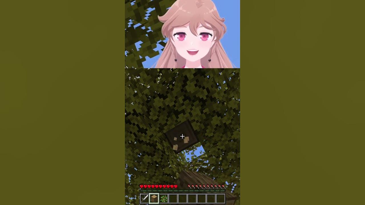 Minecraft I Appreciate The Lurkers ⛏️ Youtube