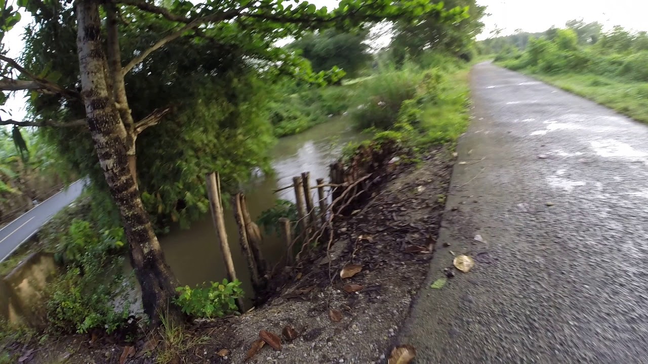 Learn How to Rude a Bicycle on rode - YouTube