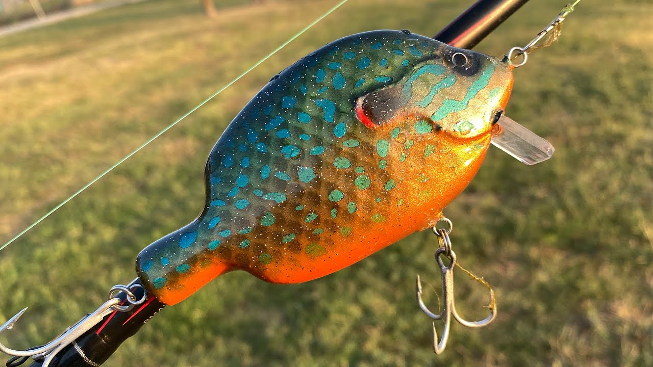 Crazy Crankbait: Pumpkinseed Sunfish - YouTube