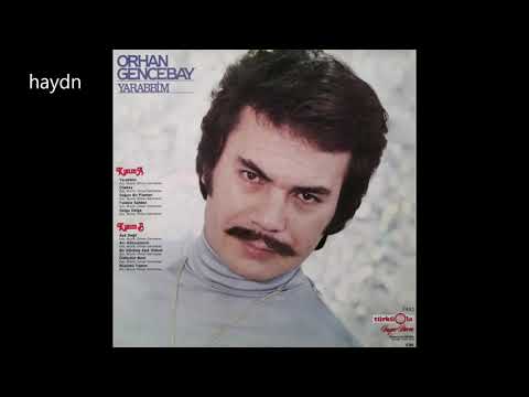 Orhan Gencebay - Bir Görüşte Aşık Oldum (türküOla Plak LP.7443)