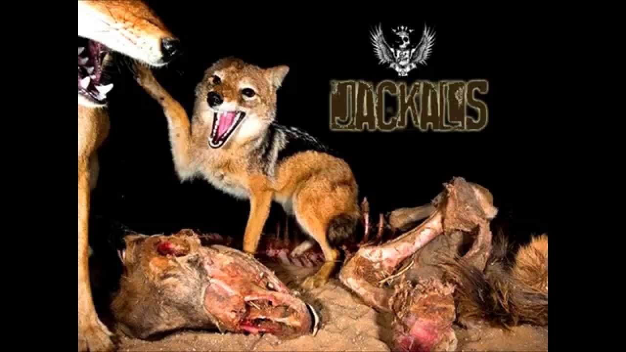 Out of Order "Jackals" - YouTube