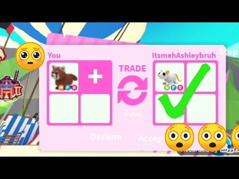 WHAT PEOPLE TRADE FOR A MEGA FLY RIDE NEON RED PANDA?! - YouTube