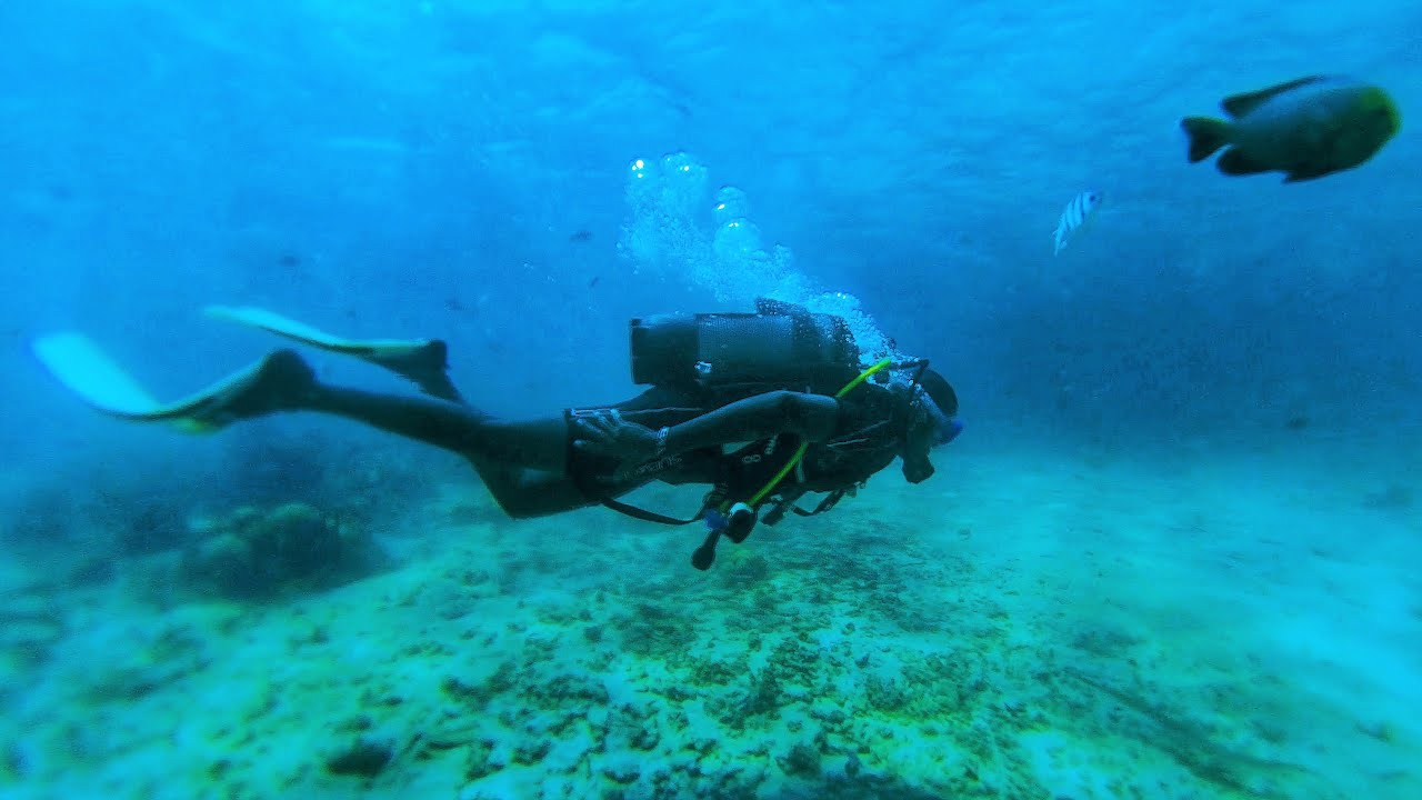 Scuba Diving in Mombasa! (Rhumba Japani) - YouTube