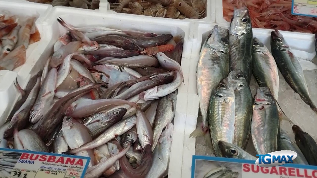 Pescherecci in mare per la settimana santa - YouTube