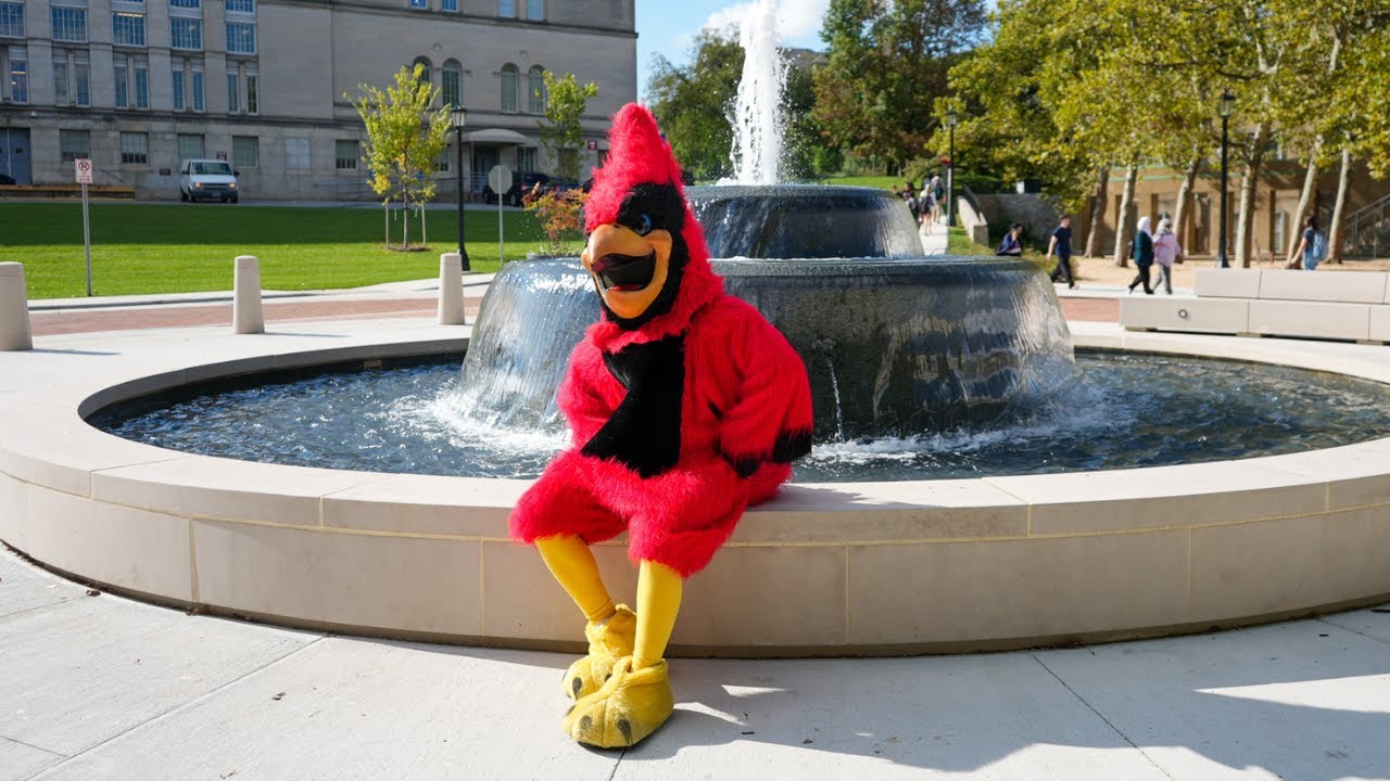 A Day in the Life of a College Mascot - YouTube