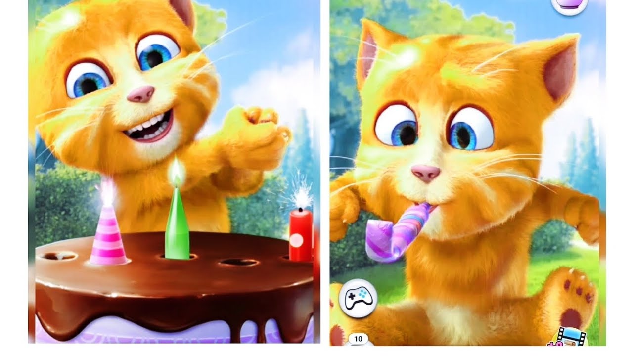 ginger cat 2😺#funny #viralvideo - YouTube