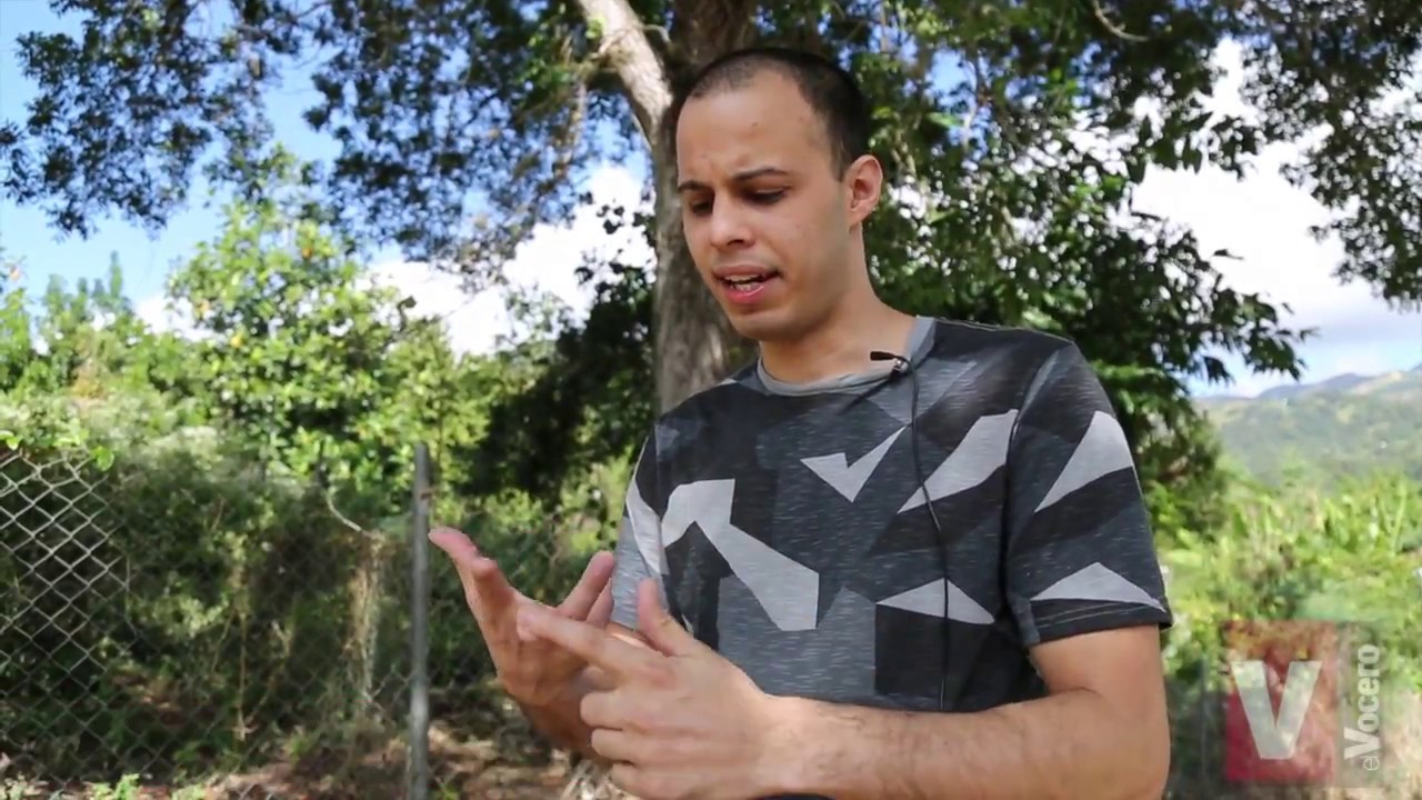 Hermano de pistolero en Florida - YouTube