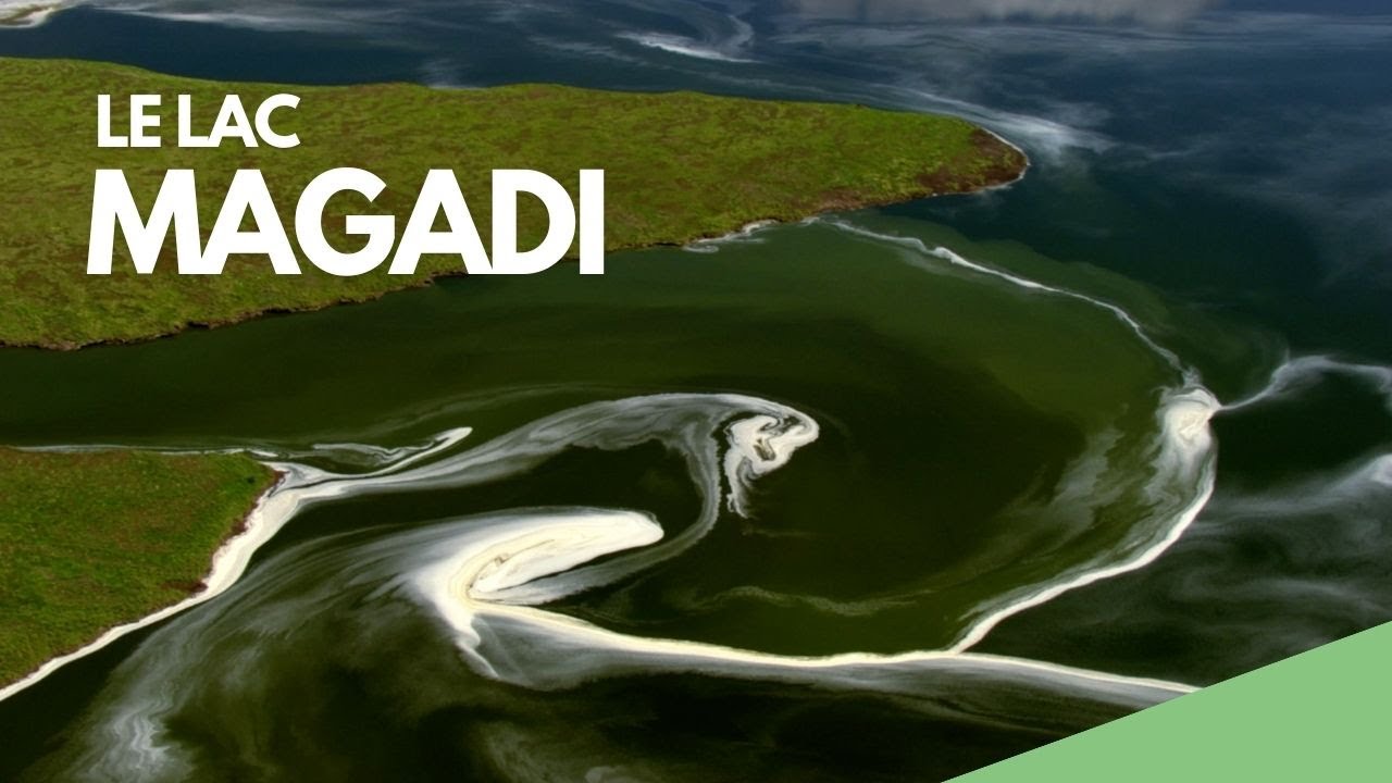 Le Lac Magadi - Un film de Yann-Arthus-Bertrand - YouTube