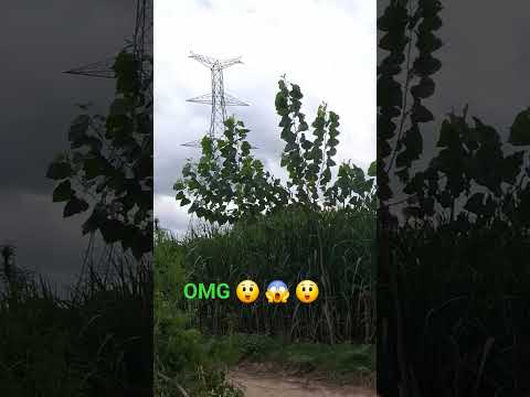 #OMG 😲 😱 😲  #liveOMG 😲 😱 😍