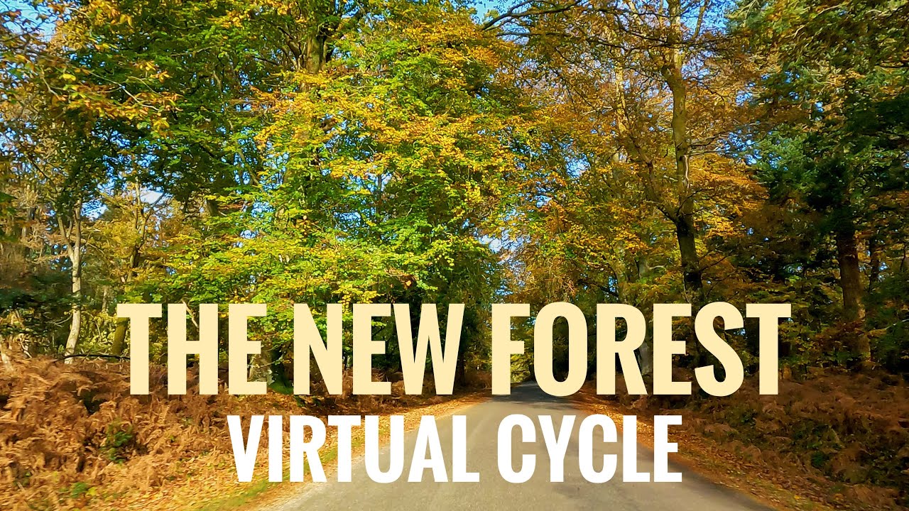 Indoor Cycling Videos With Music | The New Forest England | 30 Minute ...
