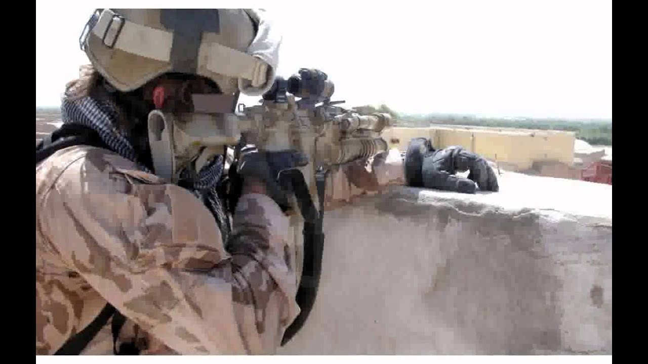 Bushmaster 16" MOE Mid-Length 5.56mm NATO Rifle Best Guns - YouTube