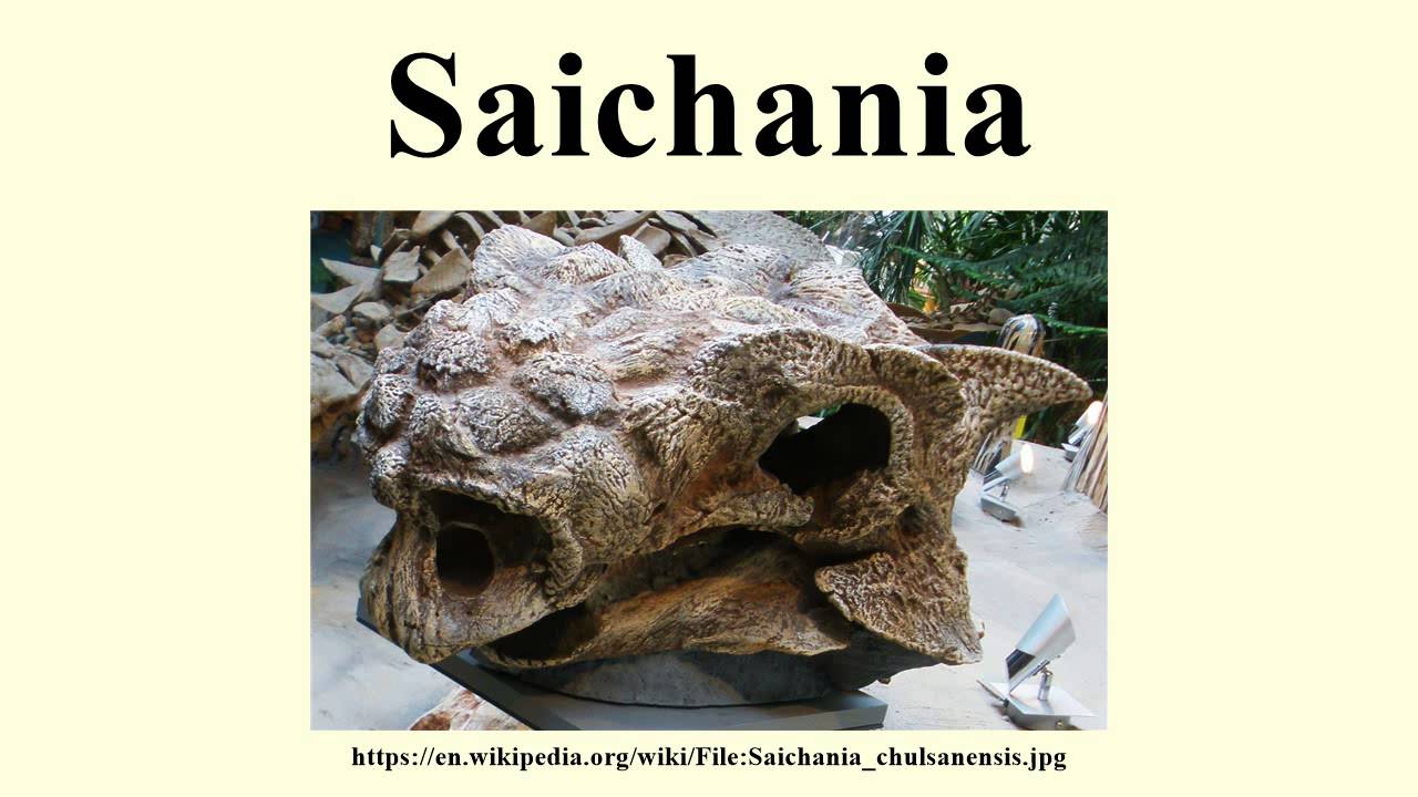 Saichania - YouTube