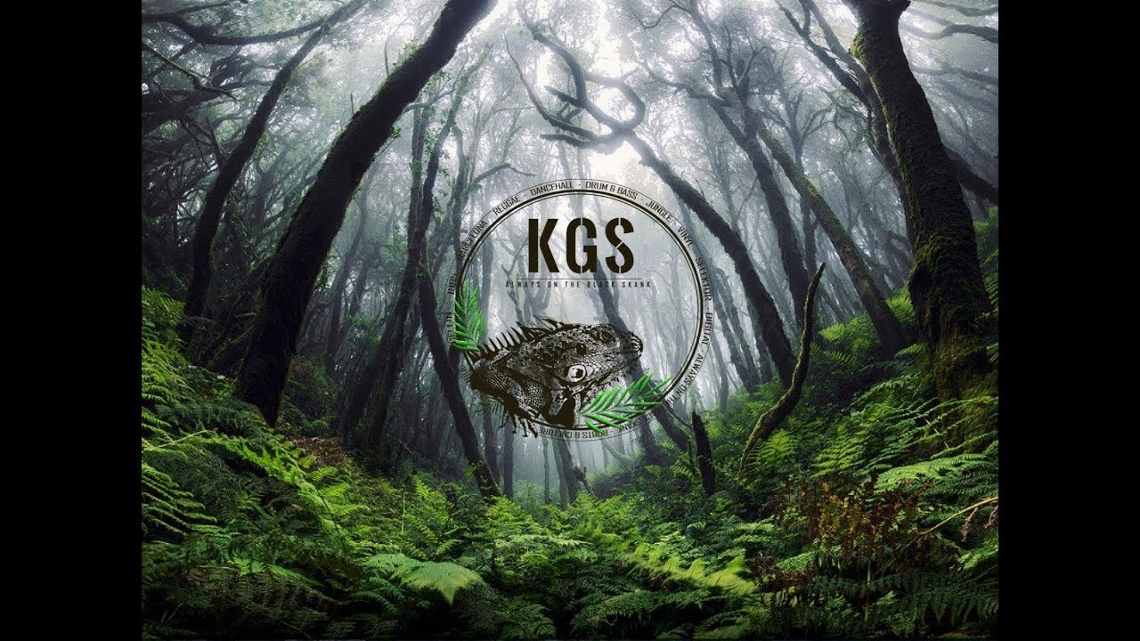 Jungle Selection · Reggae · Drum and Bass · (by KGS) - YouTube