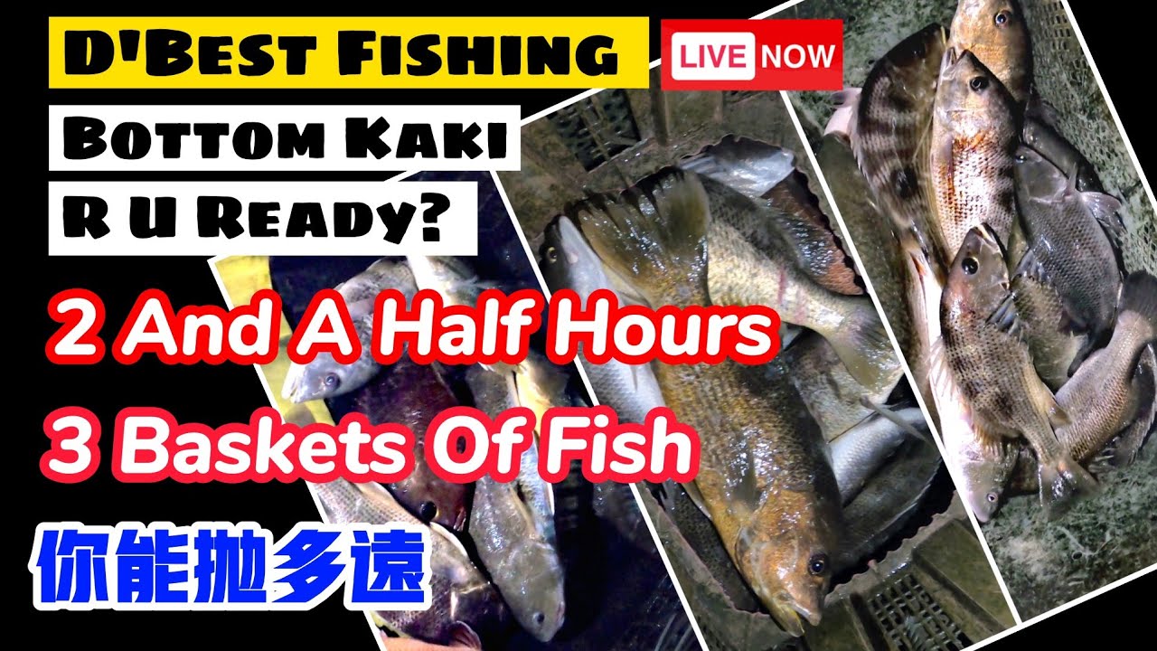 EP28你能抛多远？钓点无藏私，70米的卷取感，还得过两关拔鱼！Singapore D'best Fishing, Main Pond ...