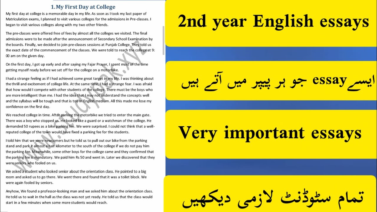 12nd year English essays very important essays all students to see very ...