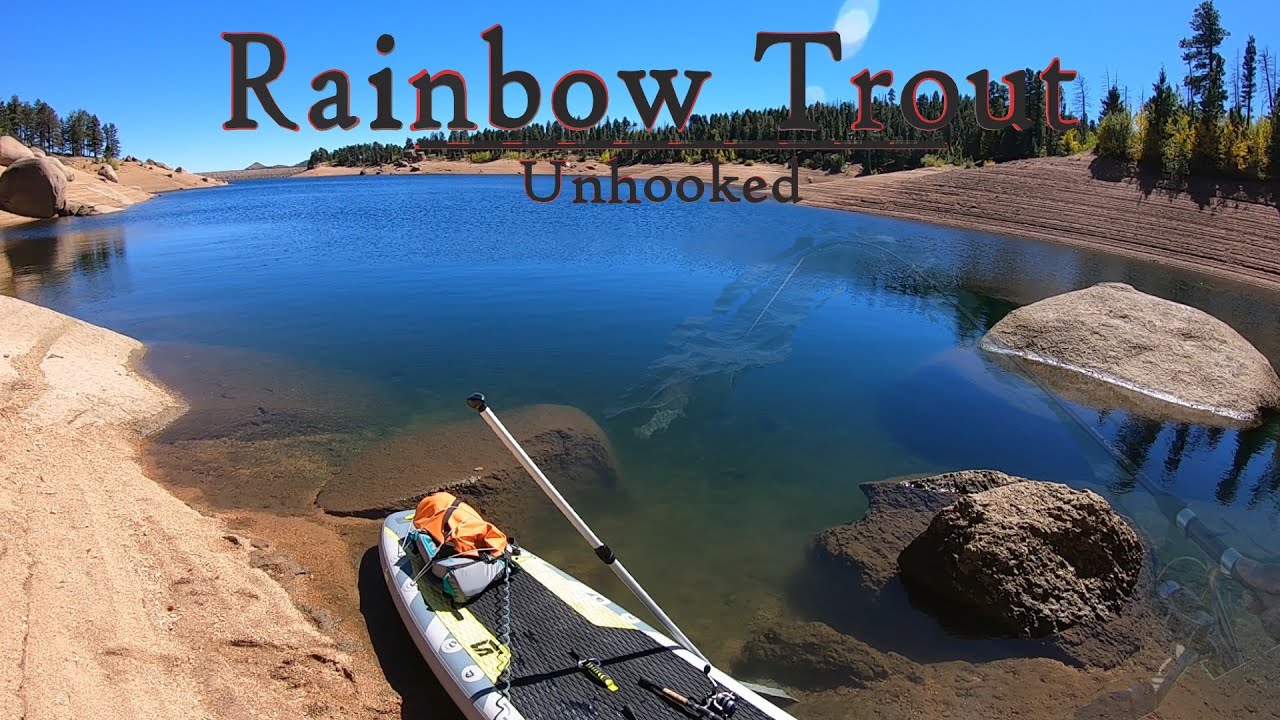 Chasing Elusive Rainbow Trout at Low Water Level - YouTube