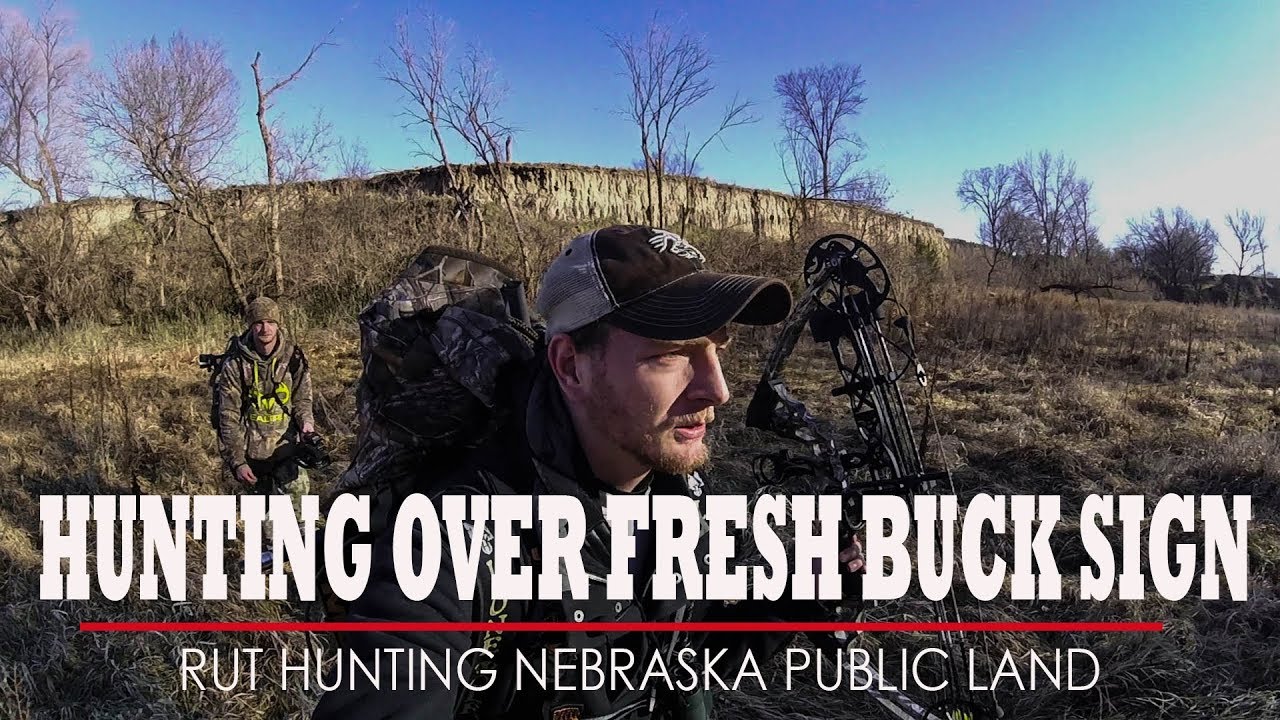 THE RUT IS STILL HAPPENING! Hunting Fresh Buck Sign - YouTube