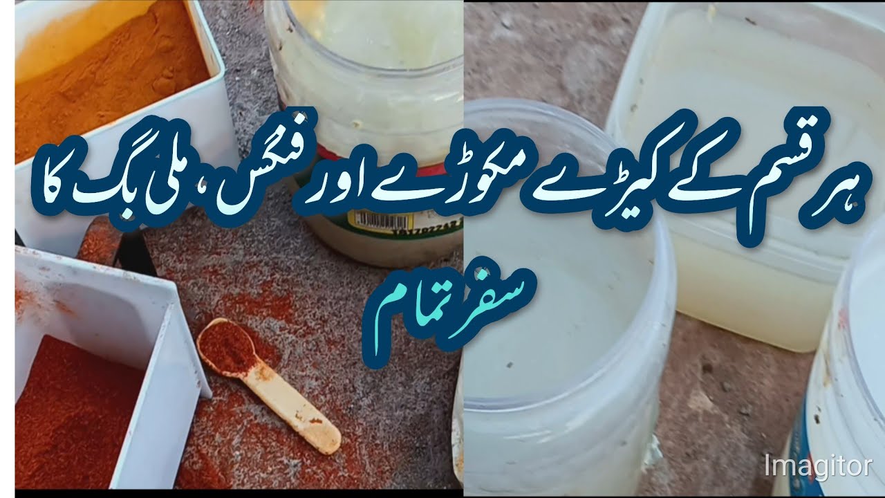 Benefits of starch water for all types of plants.The Rice Water. - YouTube