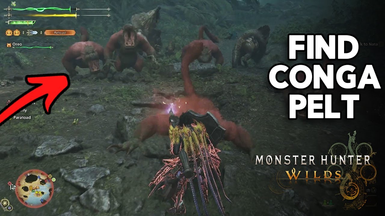 How to Find Conga Pelt in Monster Hunter Wilds - YouTube
