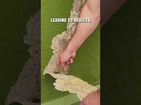 How Much To Paint Outside Of House Ireland