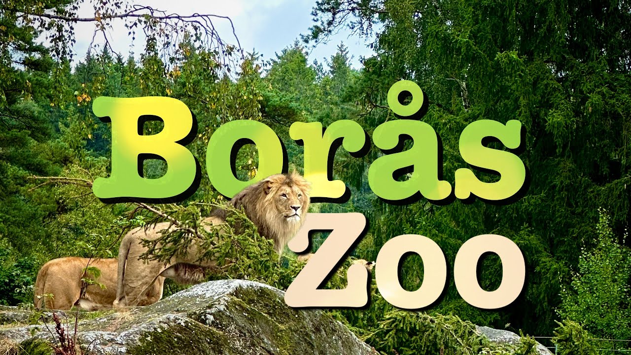 Exploring Borås Zoo - YouTube