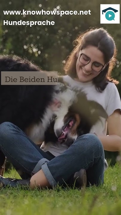 Hundesprache lernen - YouTube